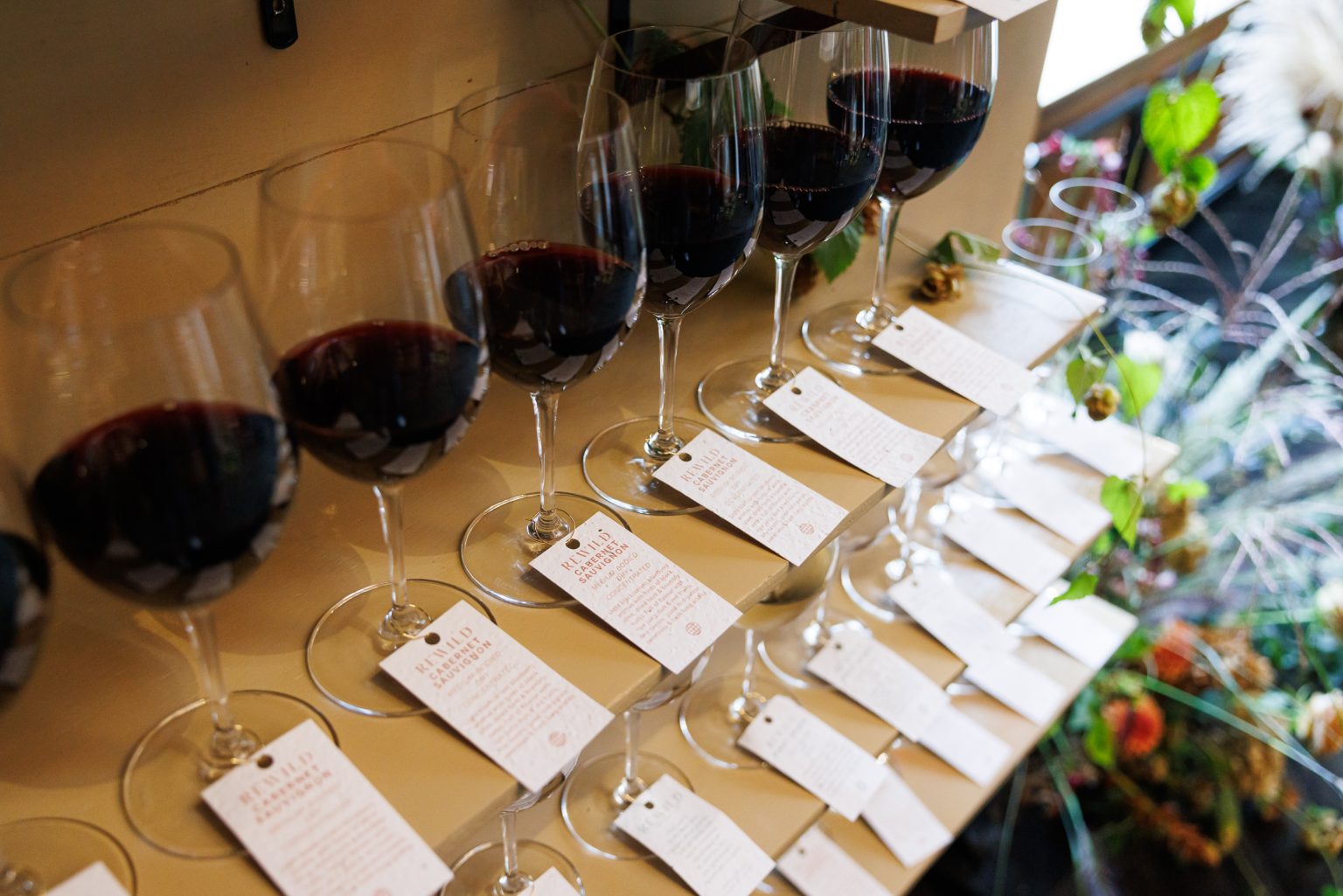 Andrew Peller Ltd Launches Rewild Australian Wine at Seasons in the ...