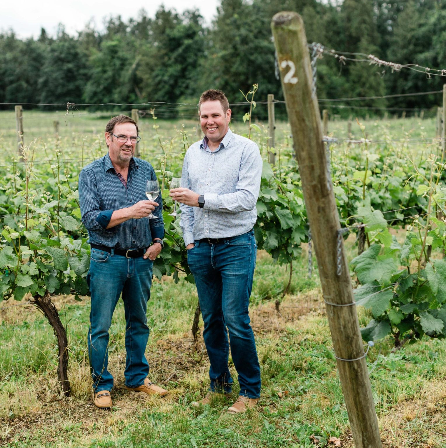'BC Sips to Support' Family-Operated Singletree Winery: From 'City Kids ...